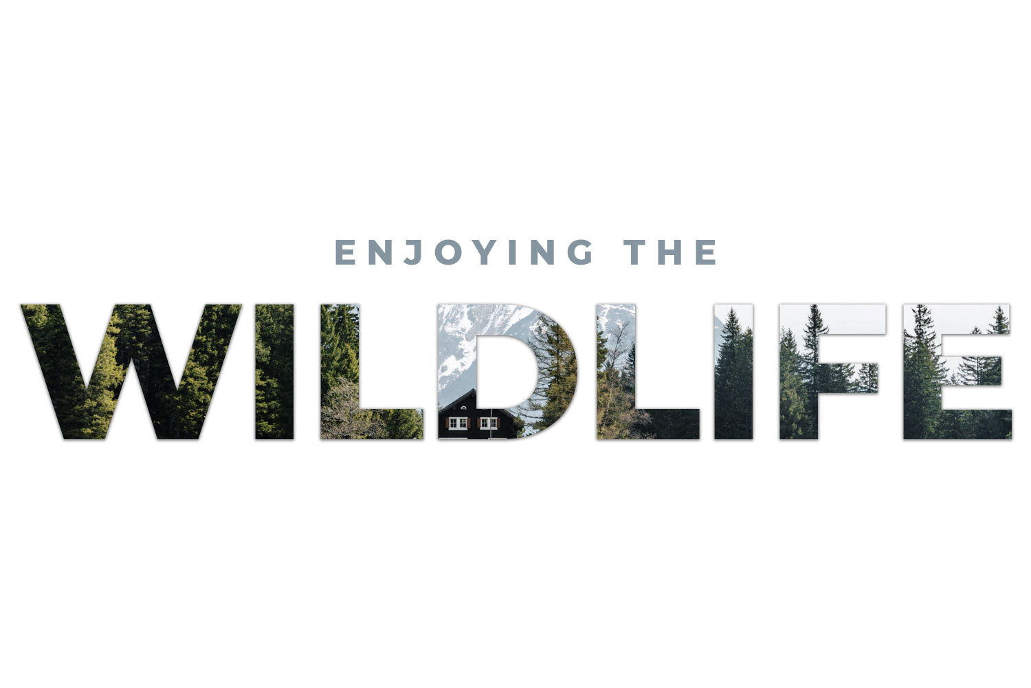How To Create A Cool Text Graphic Effects Using Clipping Mask In Photoshop